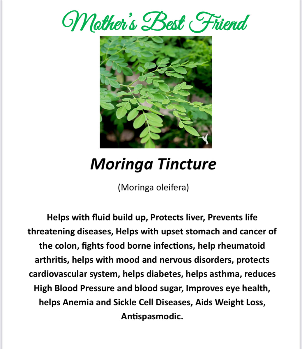 Moringa Tincture – Medicine Man Crafts