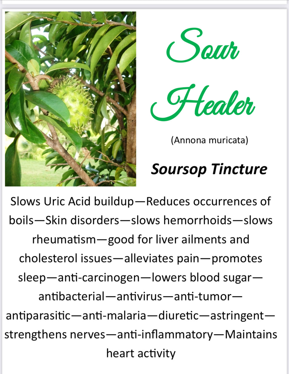 Soursop Tincture – Medicine Man Crafts