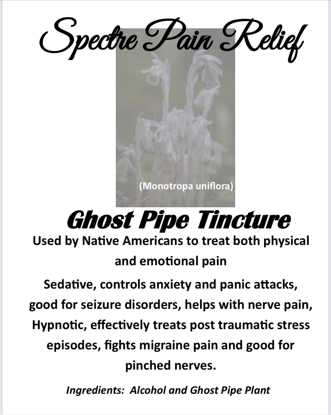 Ghost Pipe Tincture – Medicine Man Crafts