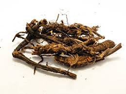 Osha Root (Bear Root) – Medicine Man Crafts