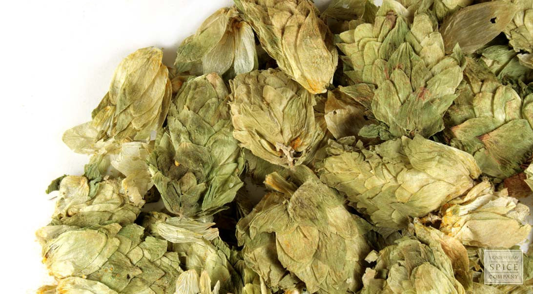 Hops – Medicine Man Crafts